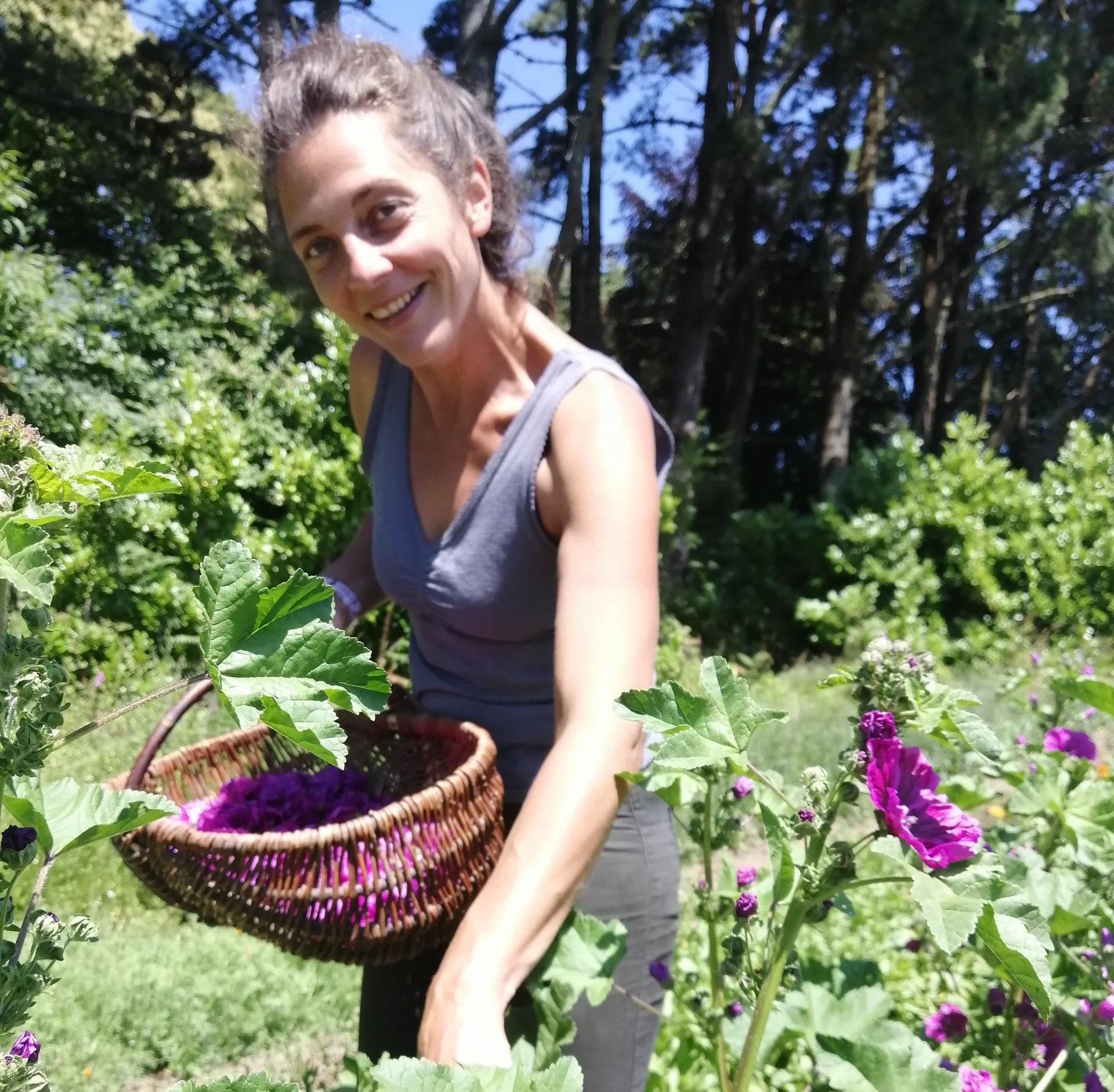 L’entraide des paysannes herboristes du bout du monde - Un monde meilleur